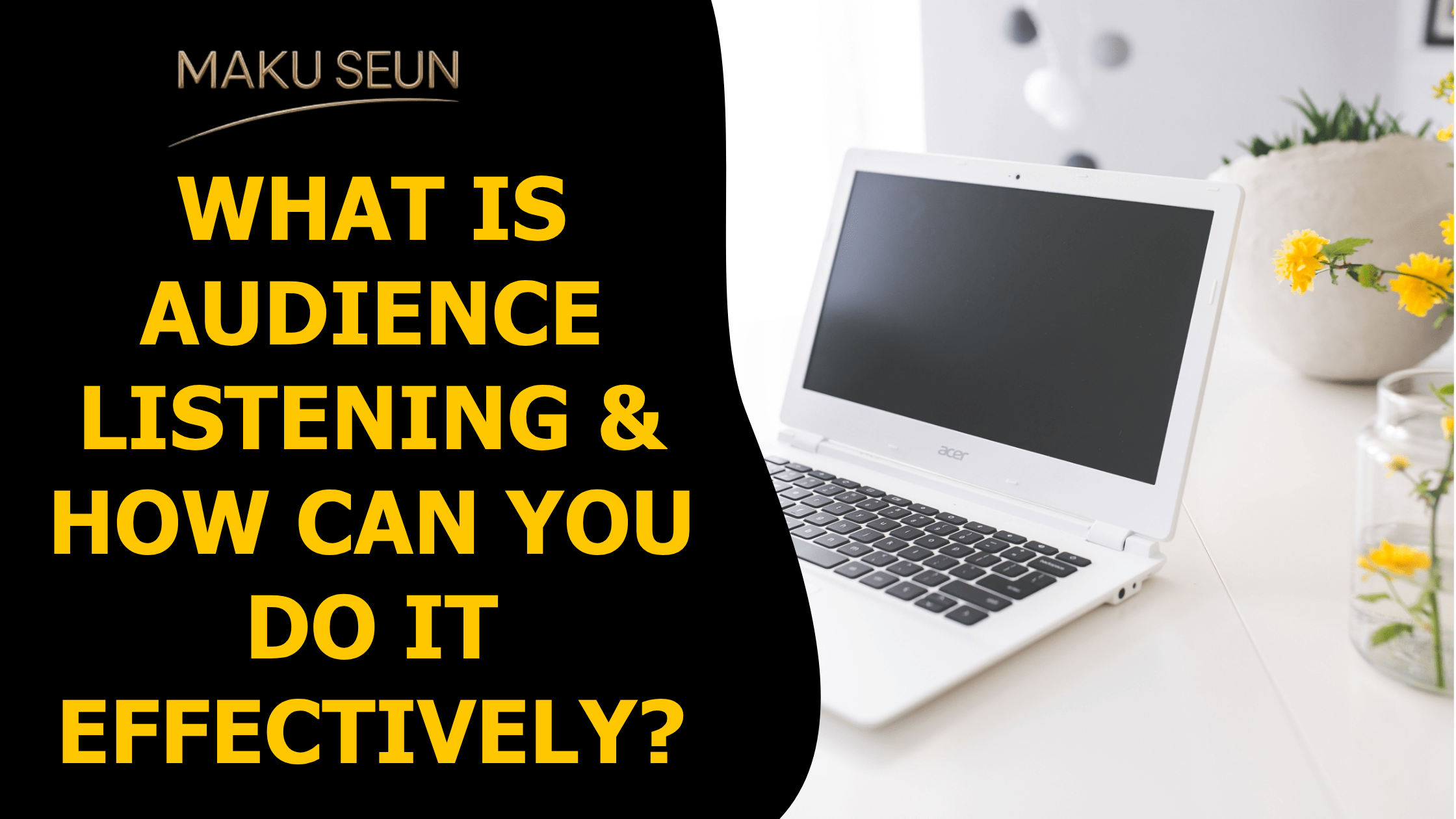 What is Audience Listening & How Can You Do It Effectively? - Maku Seun